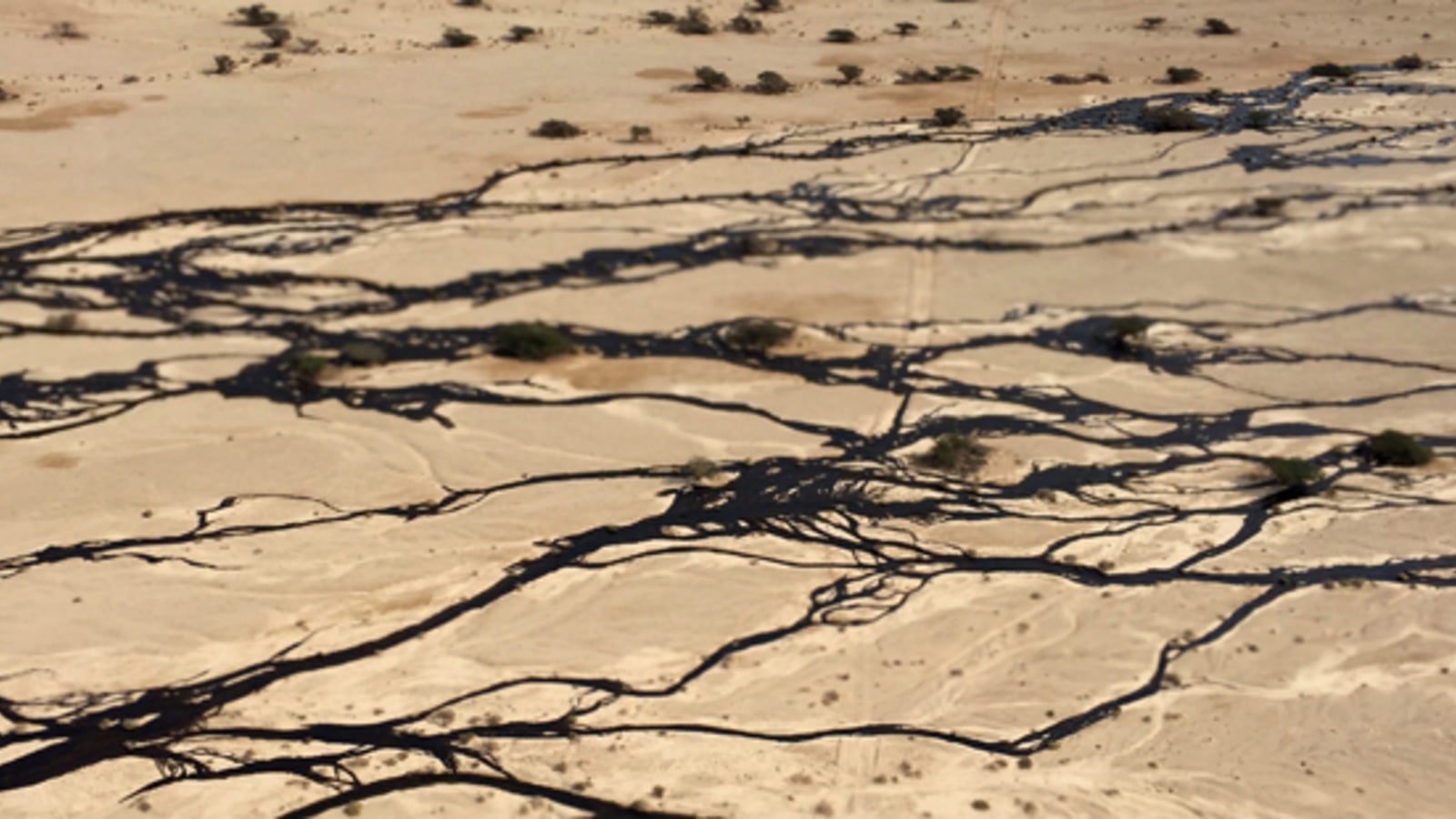 Riesiger Öl-Teppich in Israel - oe24.at