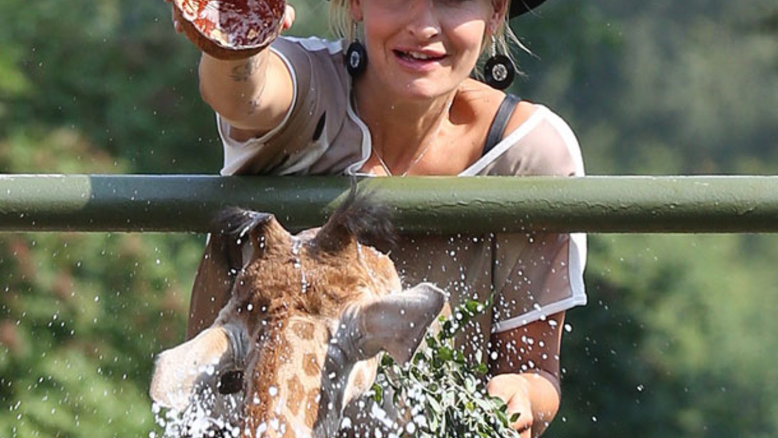 Sarah Connor wird Patin für ein Giraffen-Baby - stars24