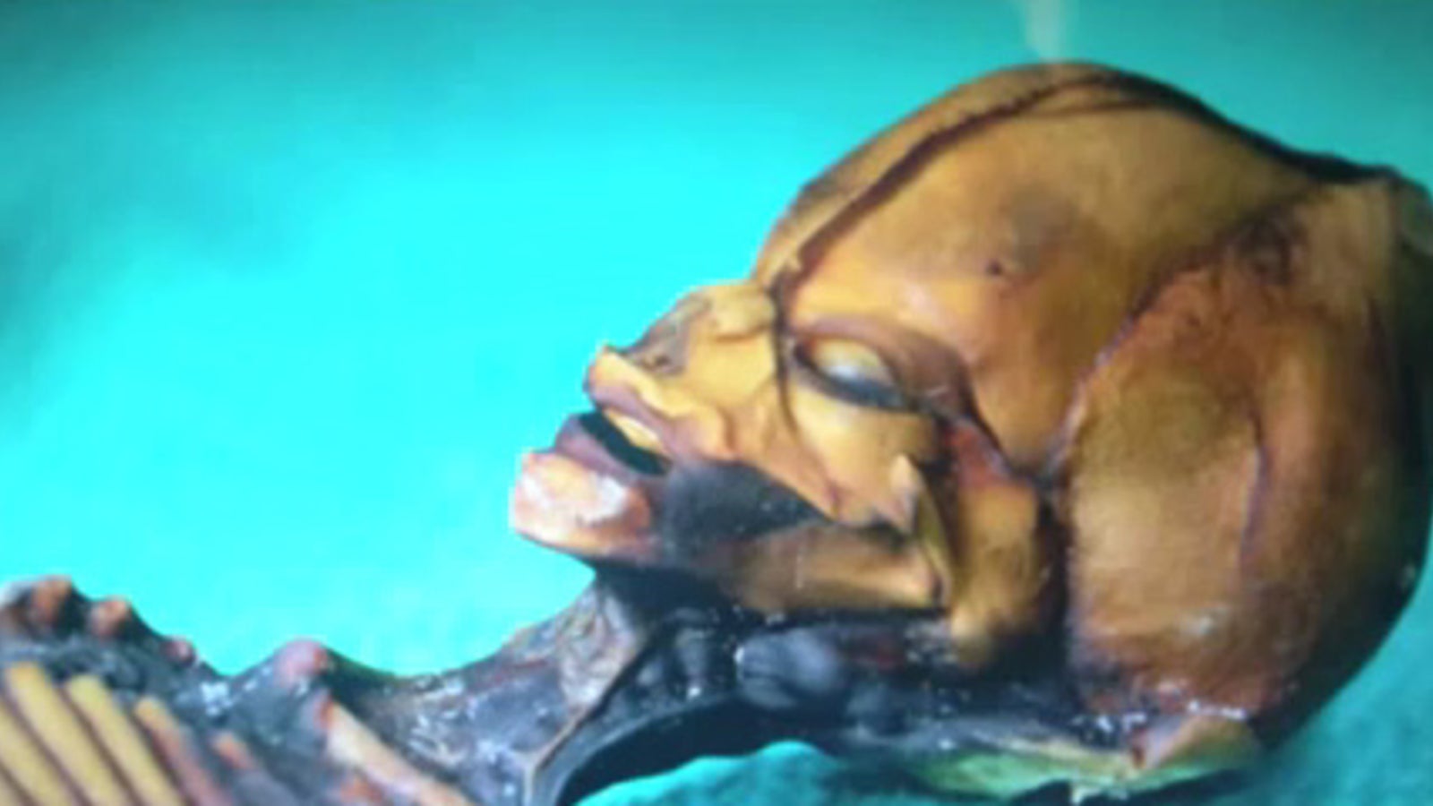 Alien-Skelett in Chile entdeckt? - oe24.tv