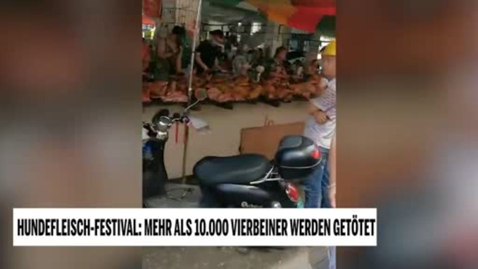 Lebendig Gekocht Hundefleisch Festival