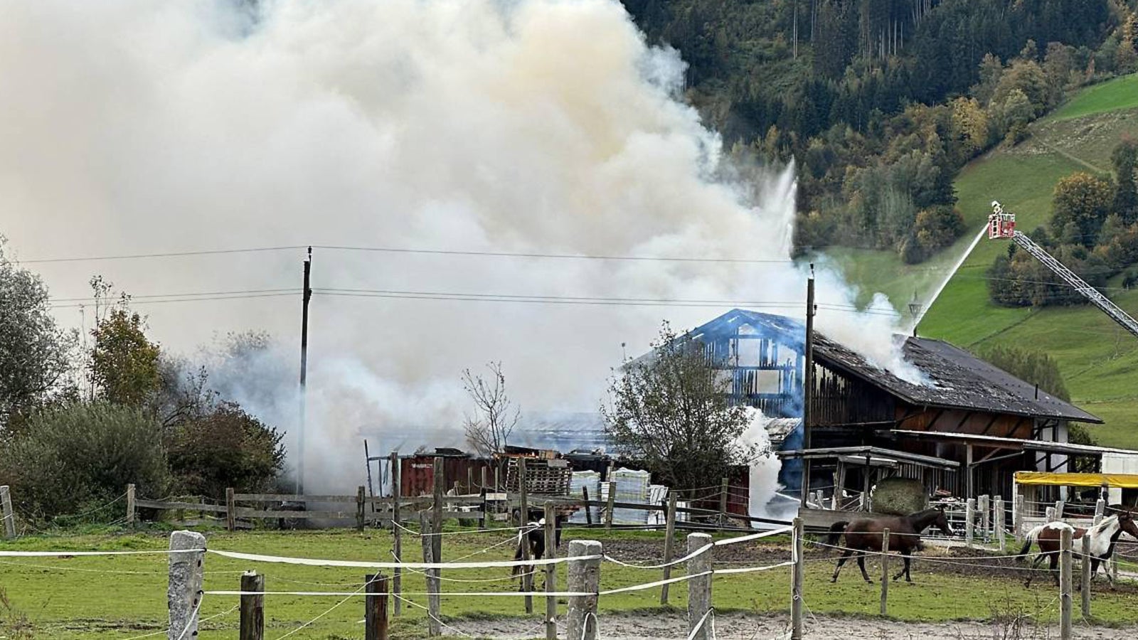 Großeinsatz wegen Brand in Tiroler Pferdestall - oe24.at
