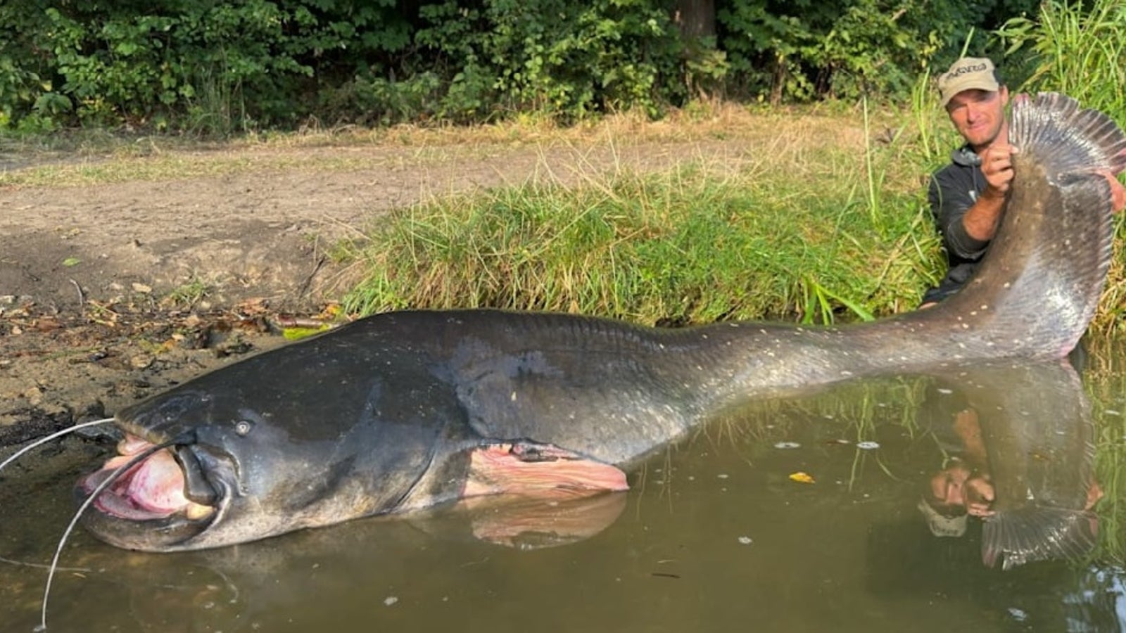 Angler-Legende bändigt 2,72 Meter langen Monster-Wels - oe24.at