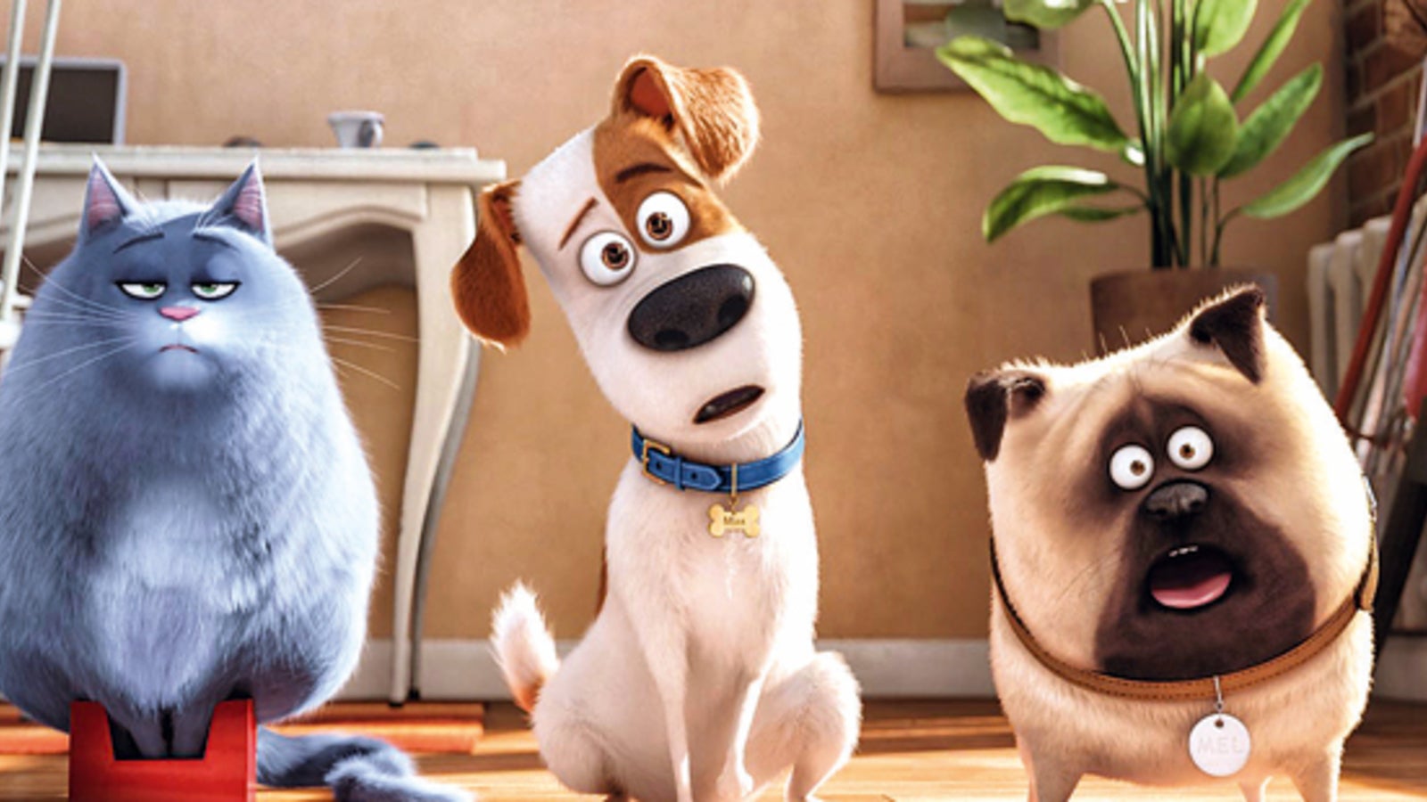 Die erfolgreichsten Filme 2016 - stars24