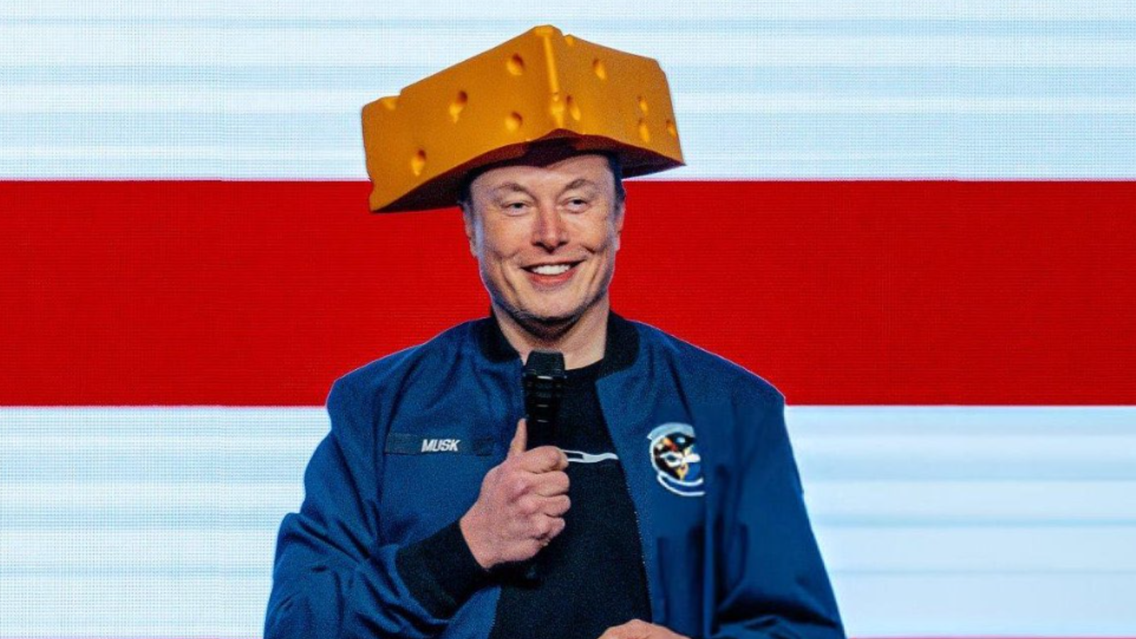 Musk mit Käsehut verschenkt Millionen - oe24.at