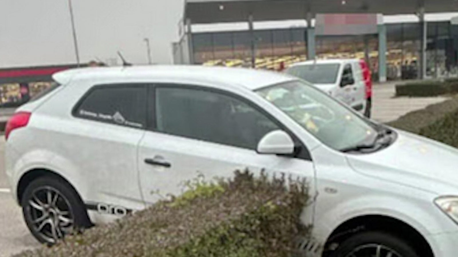 Krisen-Teenies zogen Spur der Verwüstung - oe24.tv