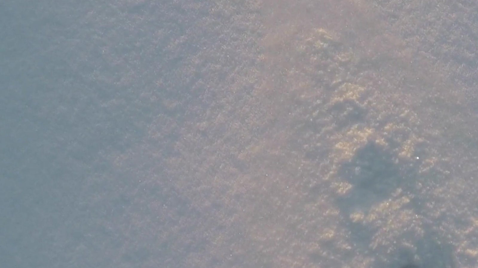 Schnee-Wunder: Hier wird es zu Weihnachten weiß - oe24.tv