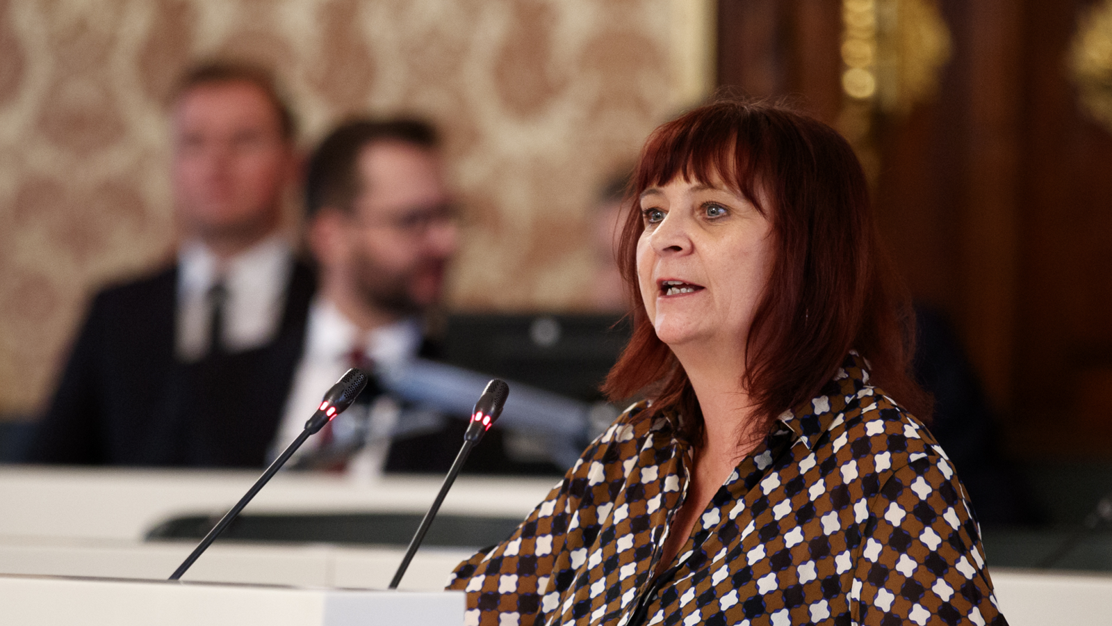 Klimt-Weithaler tritt als steirische KPÖ-Chefin zurück - Politik-Live