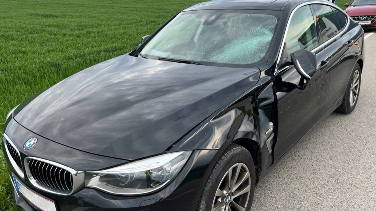 Reh von Auto erfasst und gegen Radlerin geschleudert - oe24.at