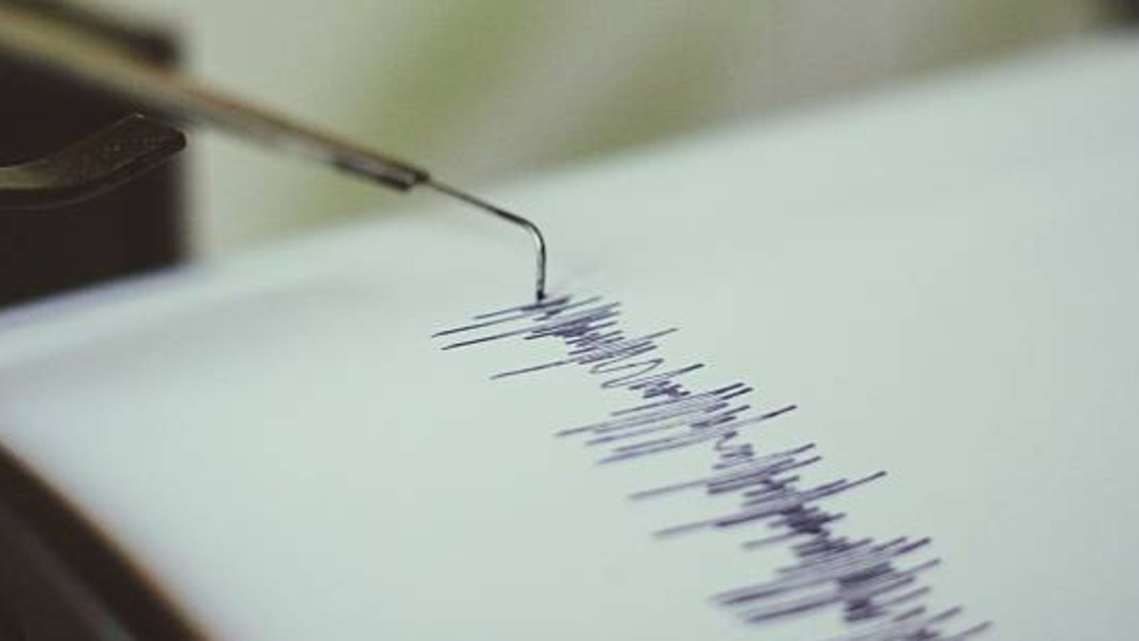 Rumpeln weckte Bewohner: Erdbeben der Magnitude 2,8 in Baden - oe24.at