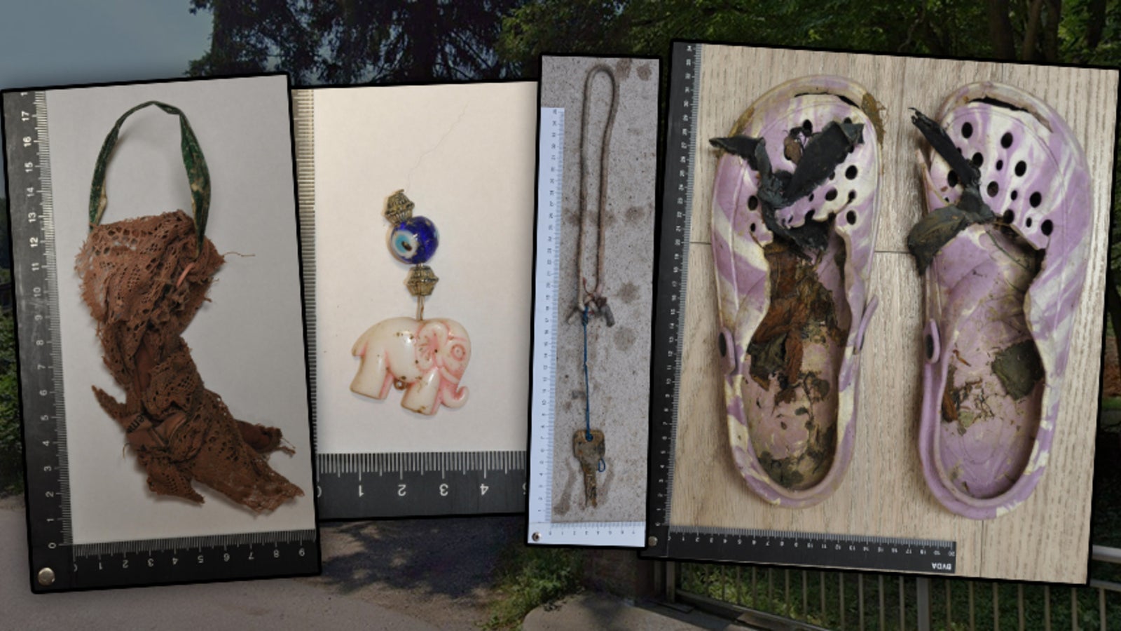 Gerippe vom Stein - Tote vom Wienerwald identifziert - oe24.at