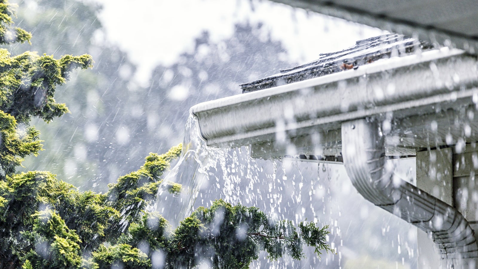 Bei Starkregen: So schützen Sie Ihr Haus vor Hochwasser - LIVE&STYLE