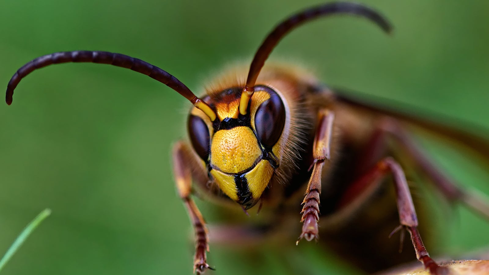 Bokep indo paling baru 2025 her location is comfortable and