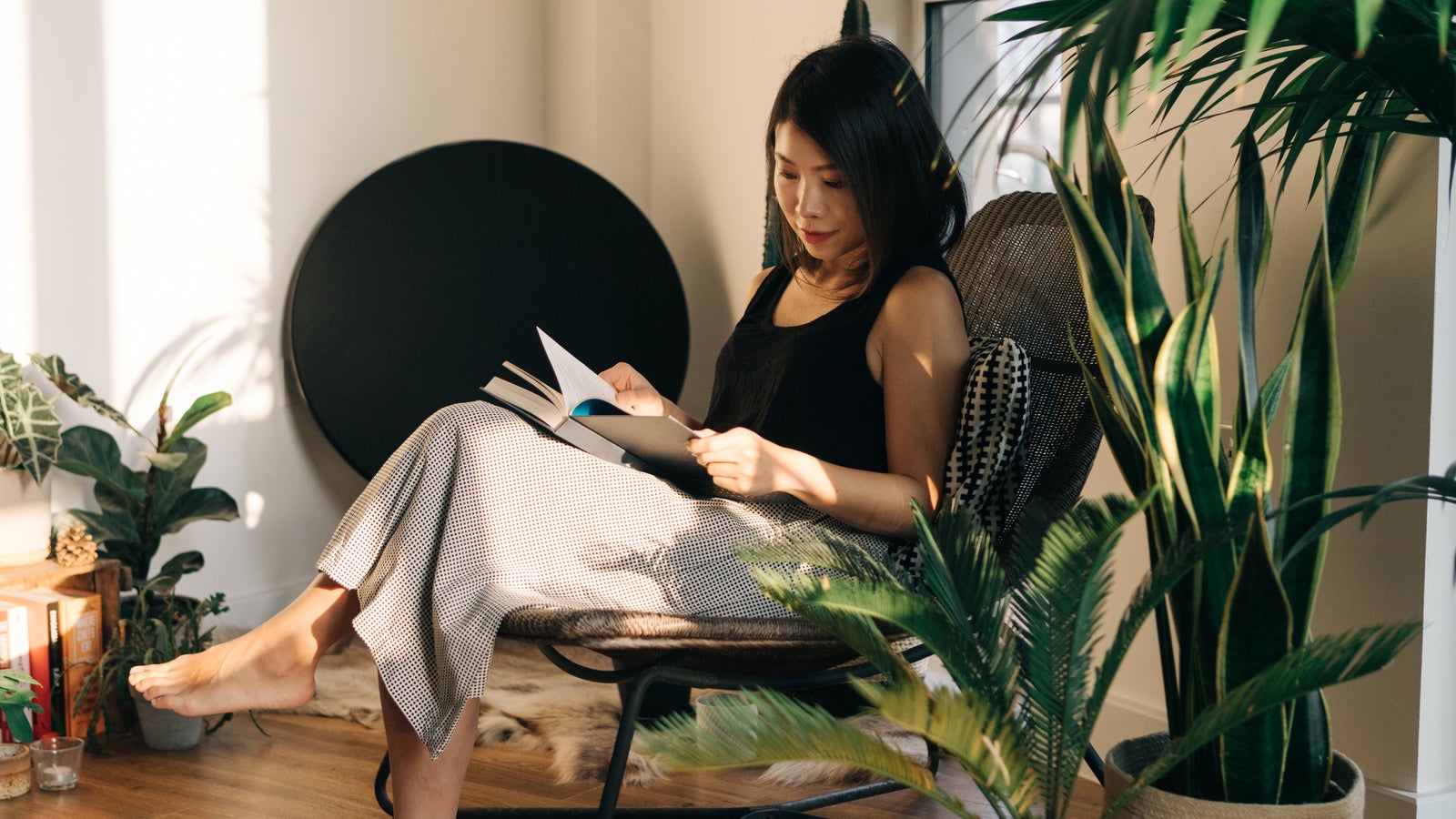 Monstera, Bonsai und Co.: Das sind die beliebtesten Zimmerpflanzen ...