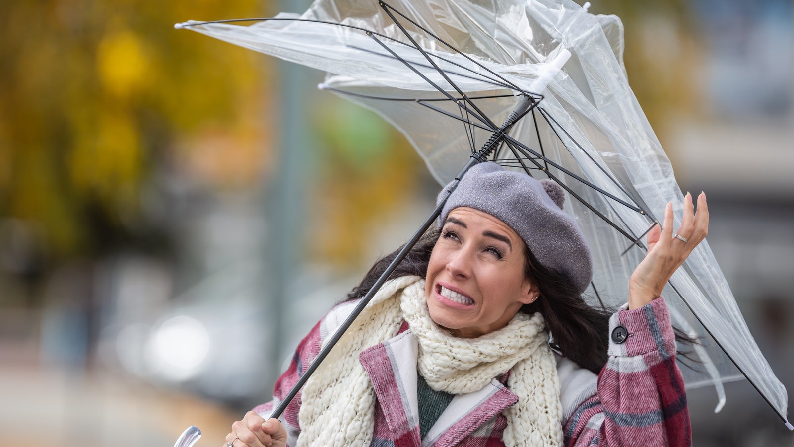 Bauernregel: "Im Oktober Sturm und Wind ..." - oe24.at