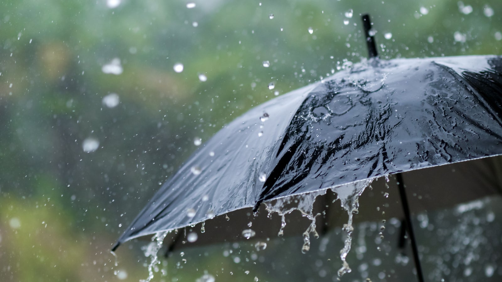 Bauernregel zum Monatsstart: DAS bedeutet Regen im August - LIVE&STYLE