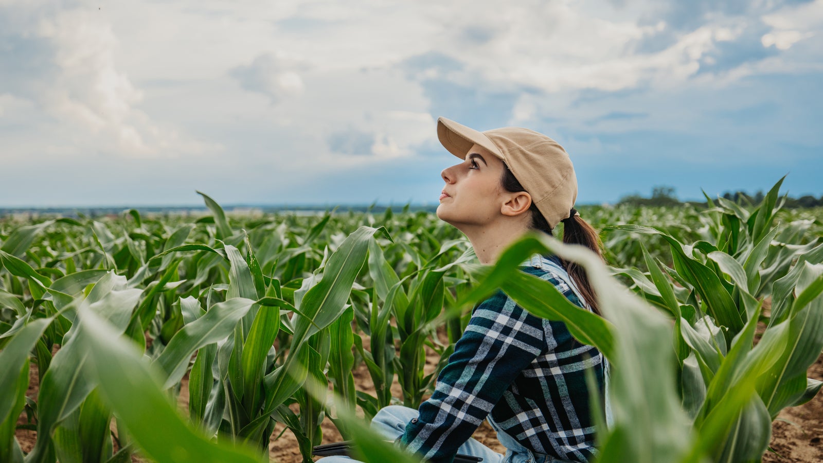 Bauernregel zum Herbstbeginn: "Ist Sankt Mauritius klar, ..." - oe24.at