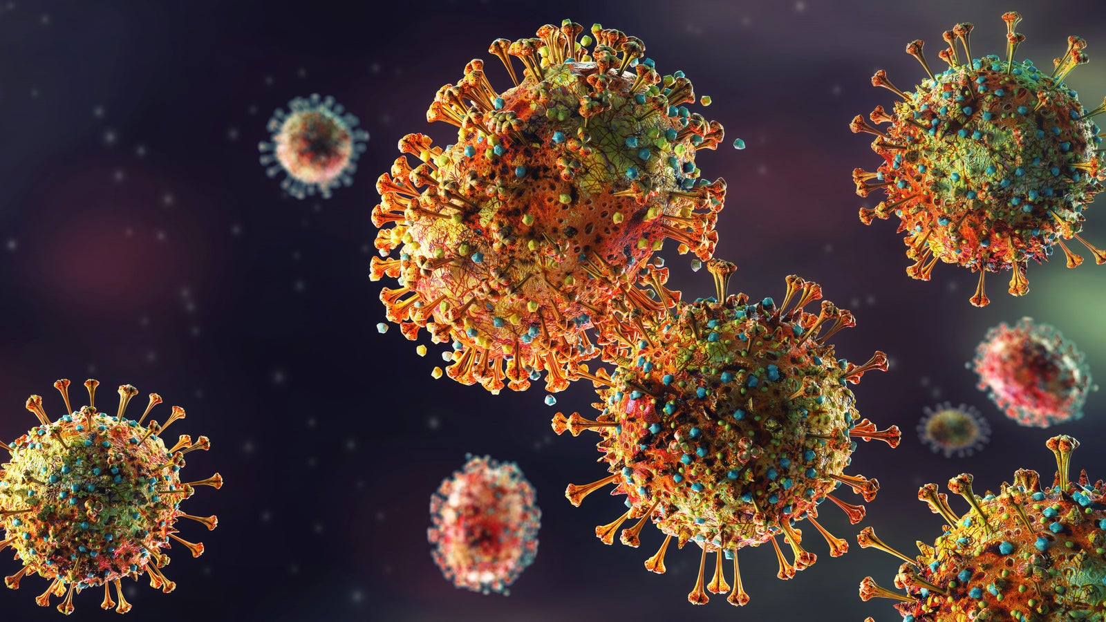 Neues Horror-Virus in den USA entdeckt - oe24.at