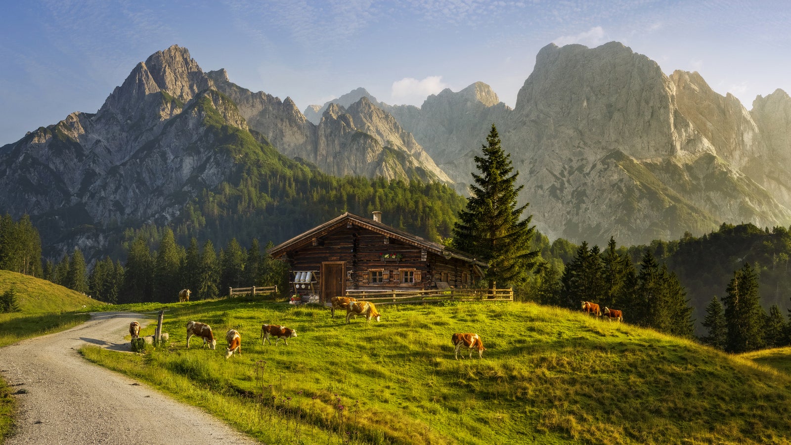 Gipfel des Geschmacks: Das sind die besten Hütten Österreichs - Cooking