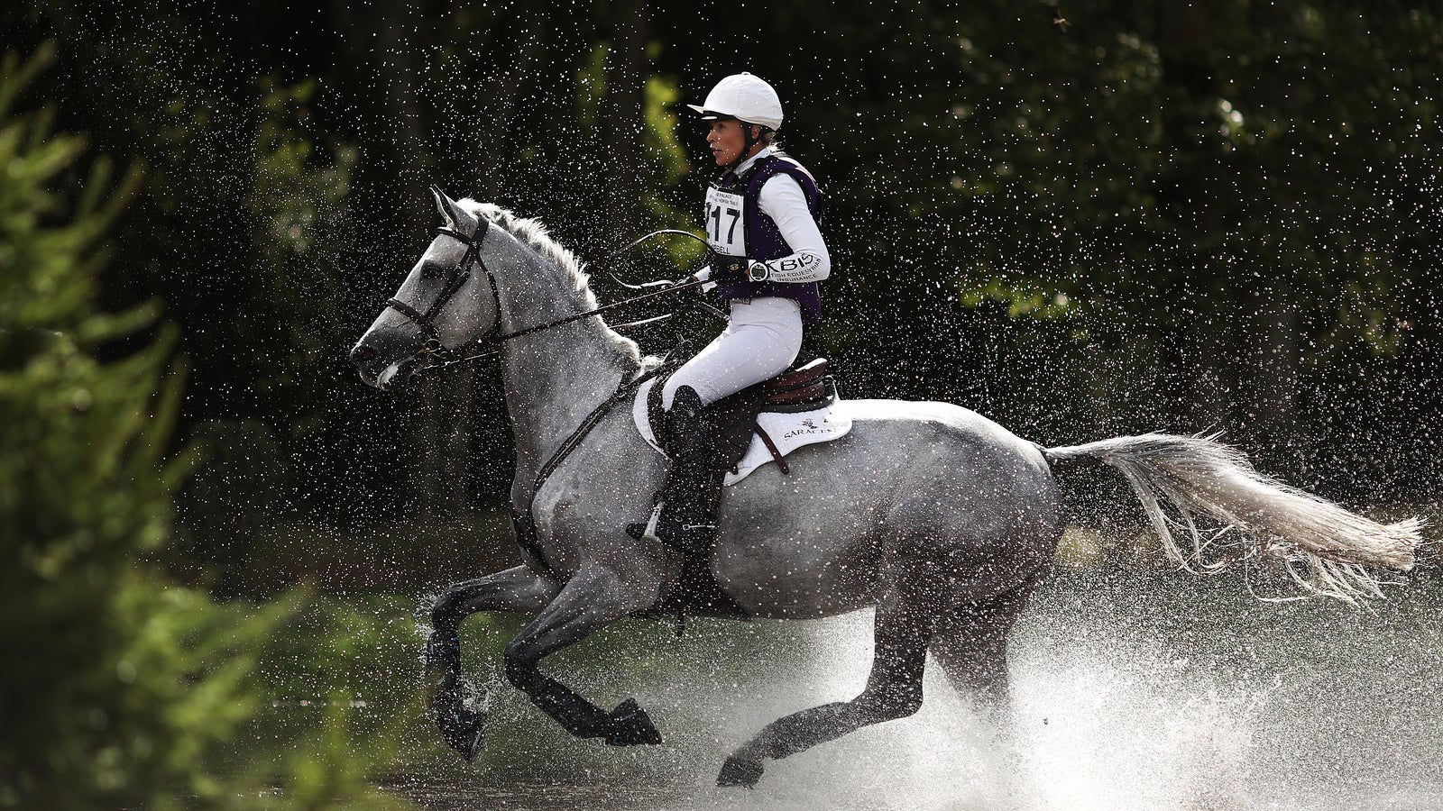 Profi-Reiterin (36) stirbt nach Sturz - sport24.at