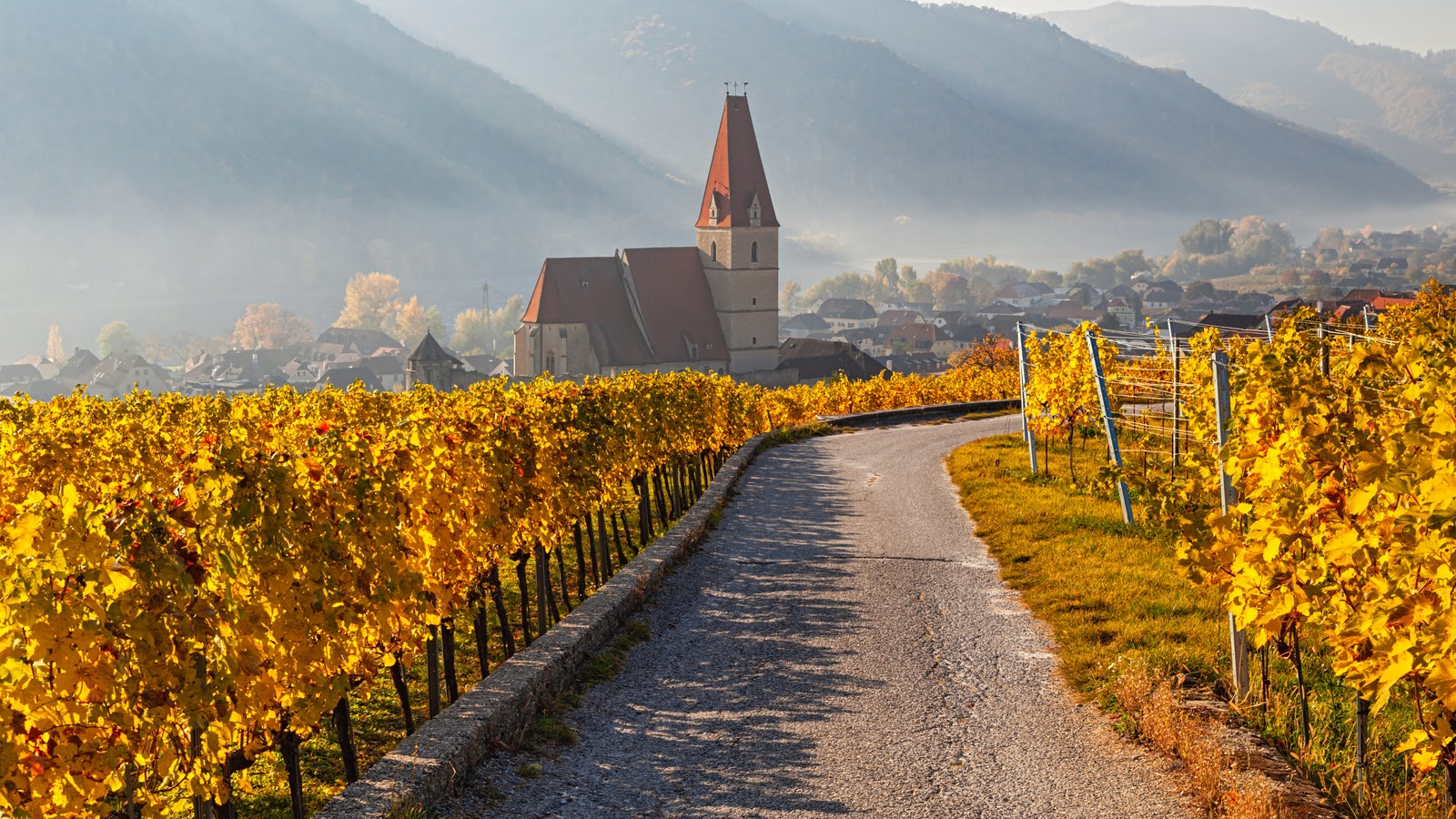 Weinwandern in Österreich: Die schönsten Wege zum Wein - REISELUST