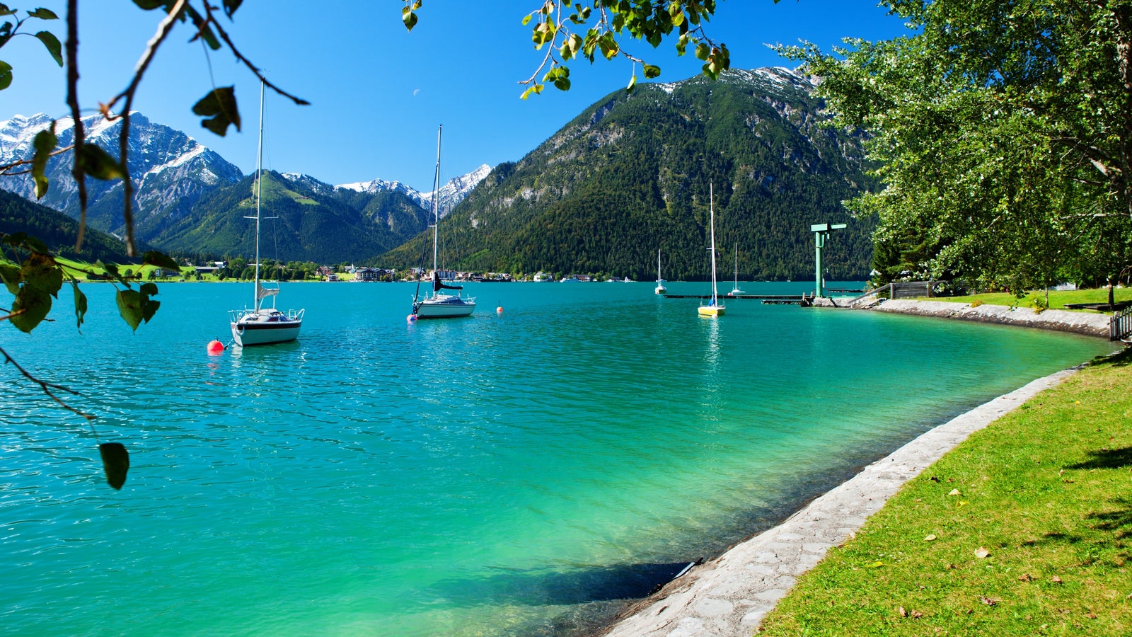 Qolka wasmada telegram vip the provider is simple to