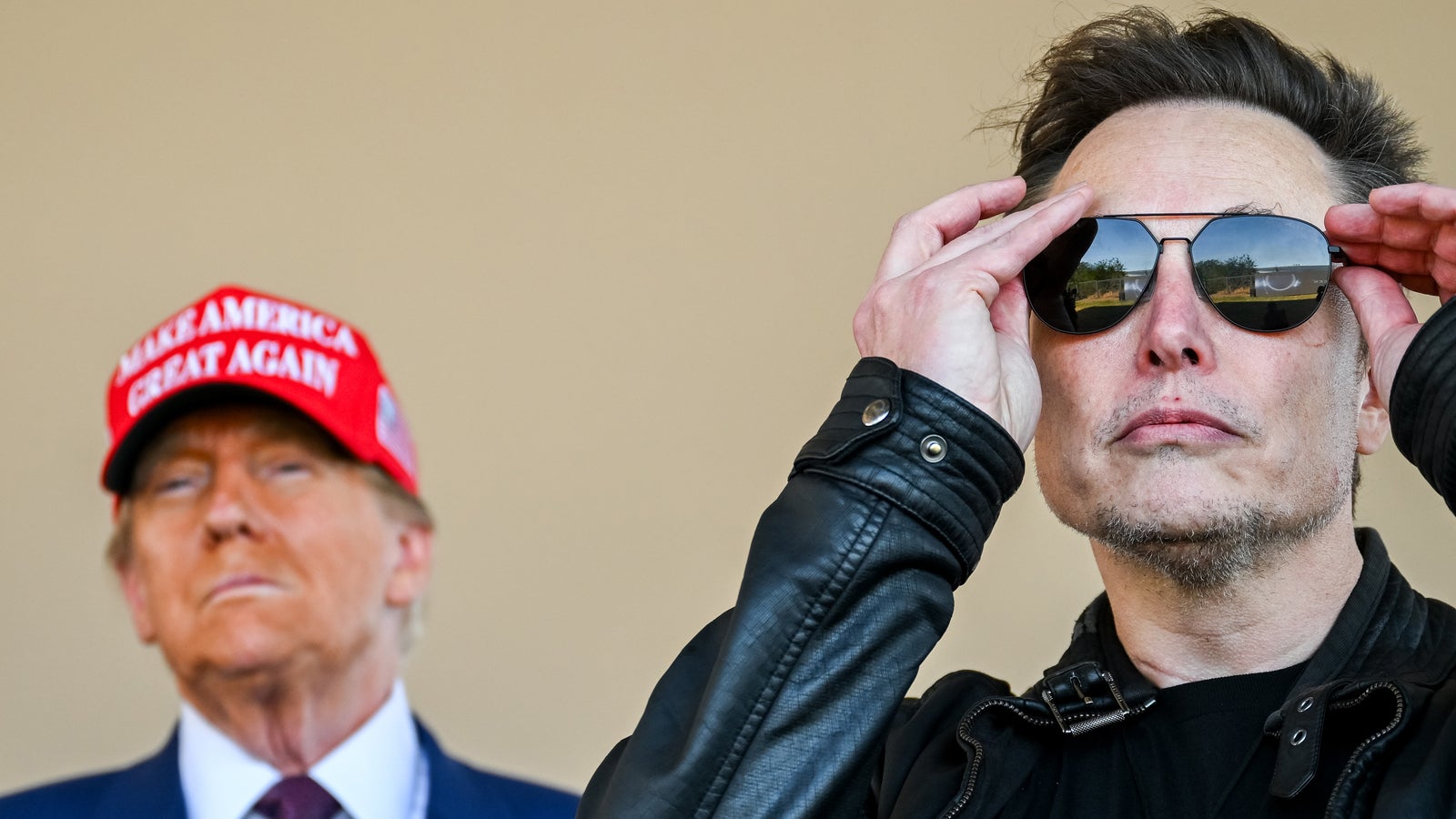 Musk mit Wahlwerbung für die AfD bis zum Schluss - oe24.at