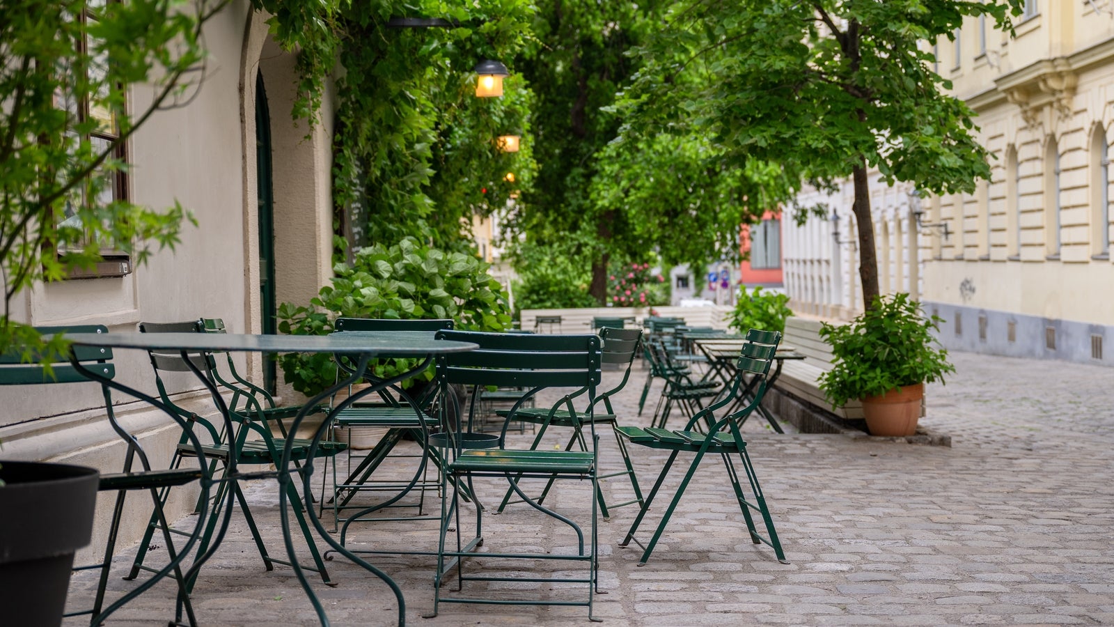 Diese Neueröffnungen in Wien bieten die besten Outdoor-Spots der Stadt ...