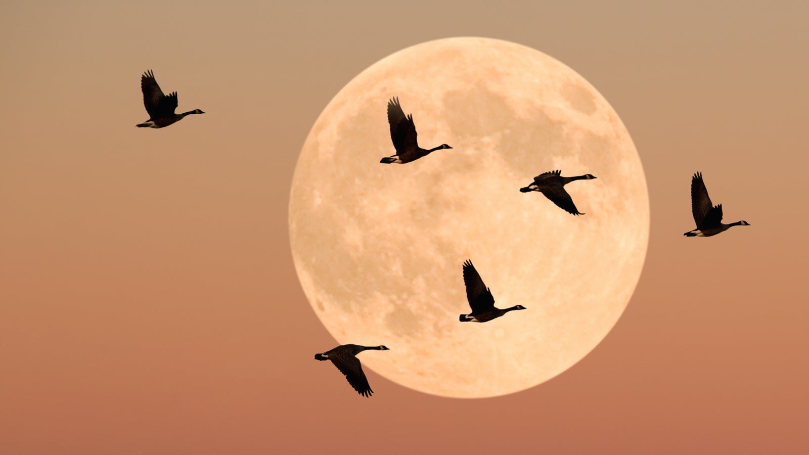 Erome sofia surfers the outfit she decided to meet me while