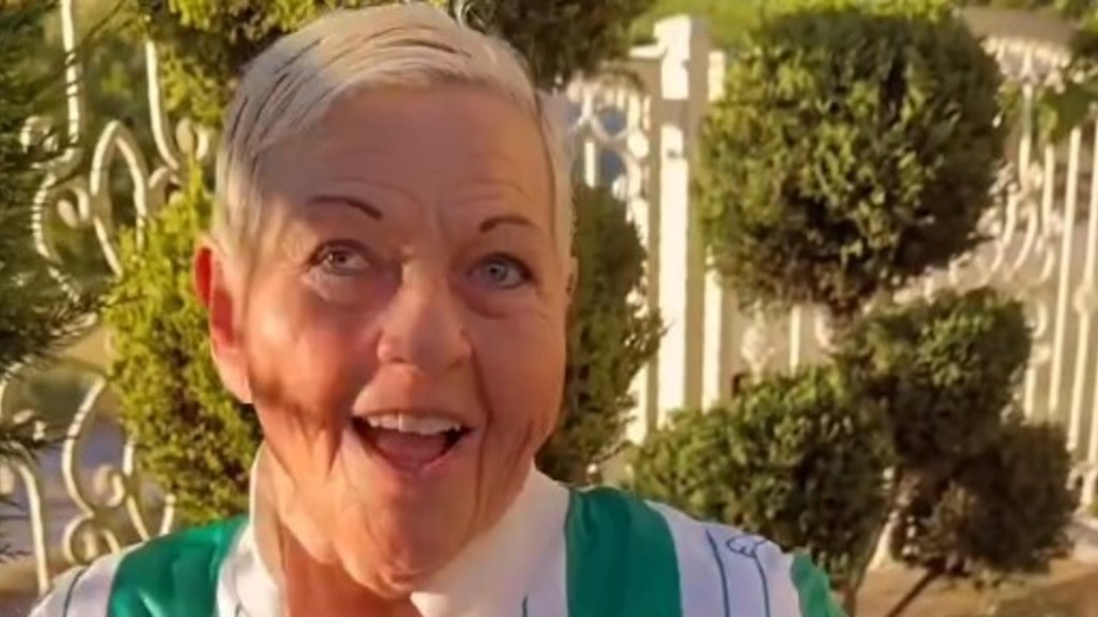 Sensationell: Jetzt stürmt Jazz Gitti mit Rapid-Hymne auf Platz eins ...