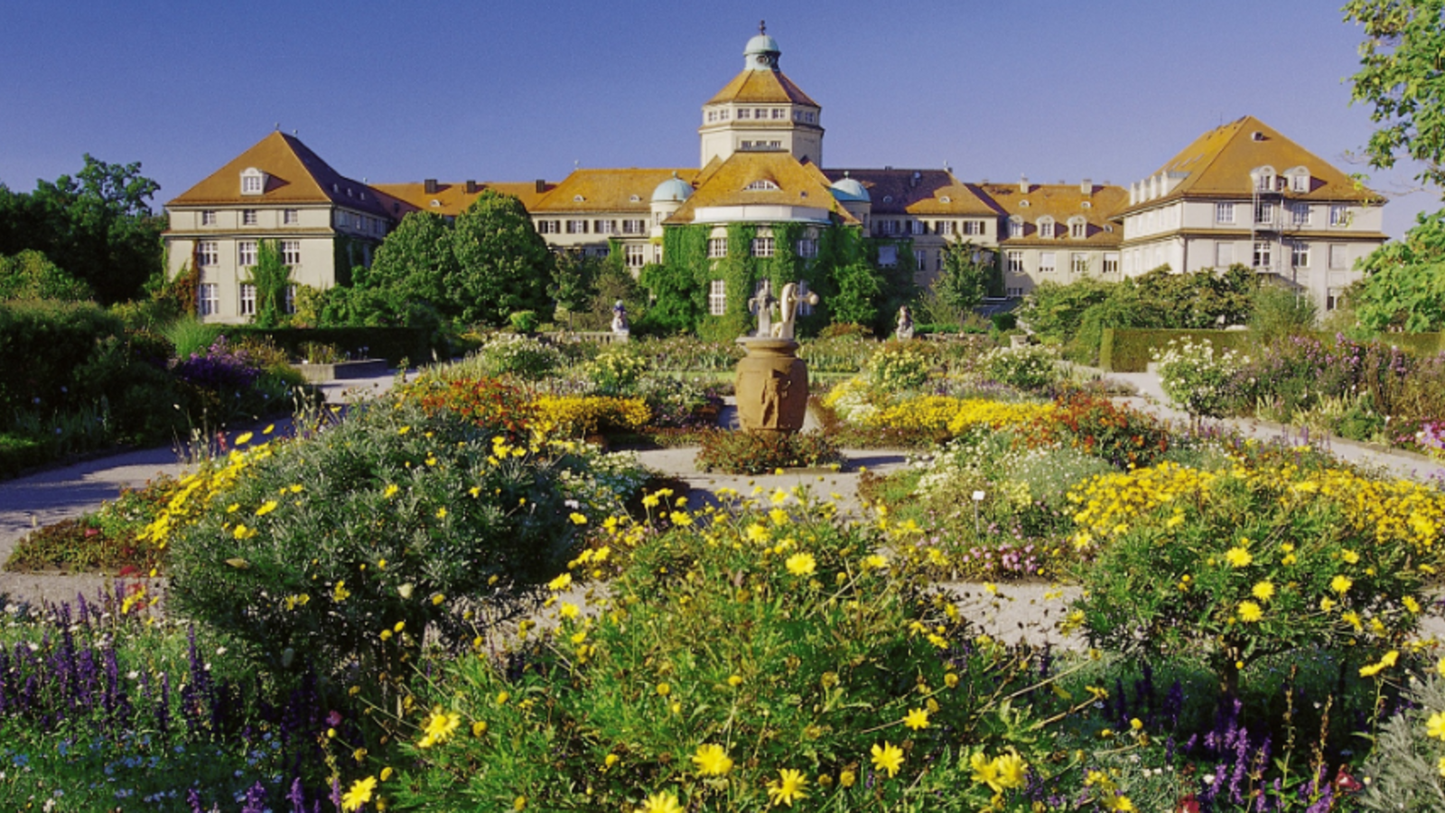 Das Flower Power Festival 2023 - REISELUST
