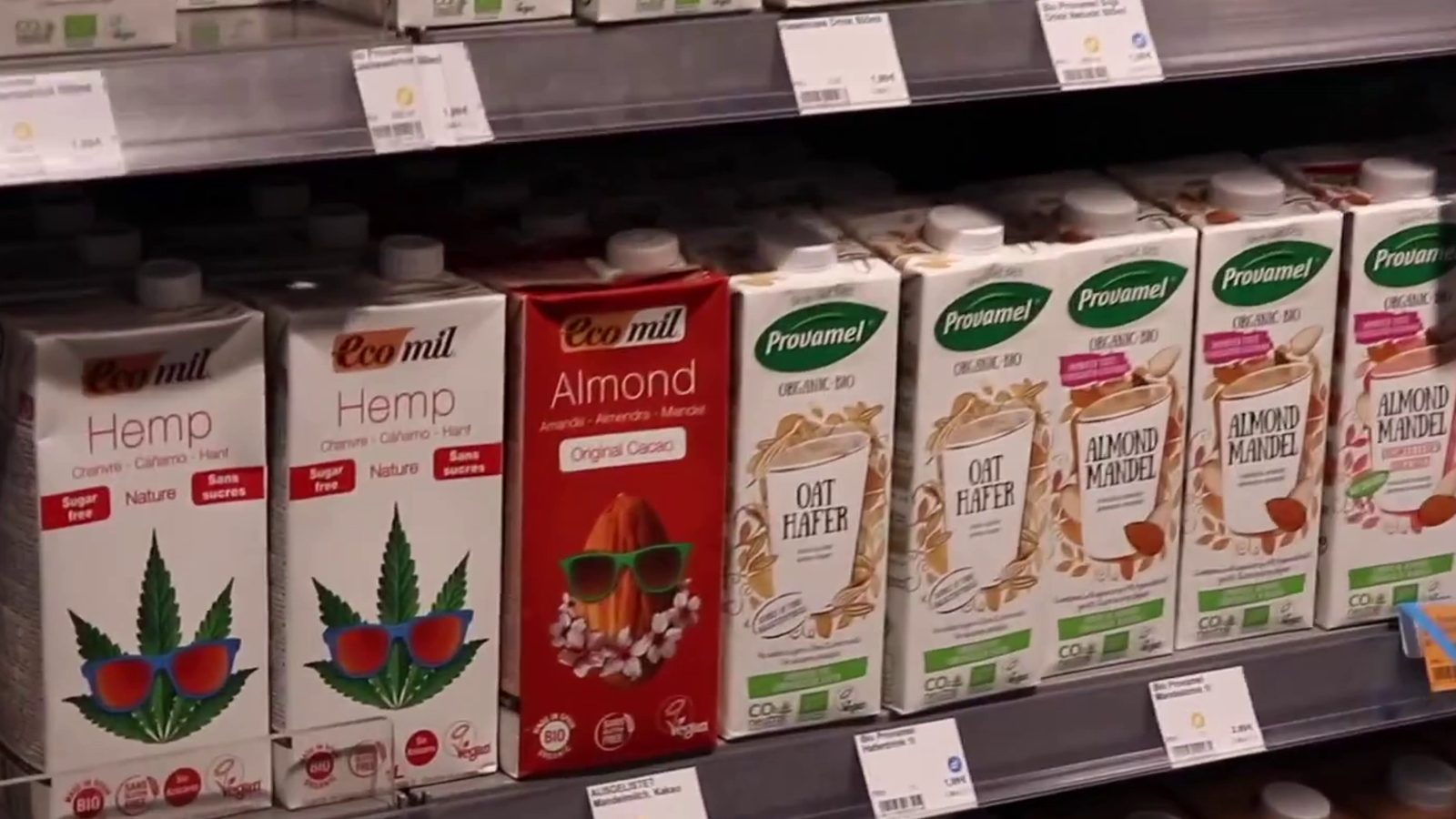 Markt für Alternativen zu Milch, Fleisch & Co wächst - oe24.tv