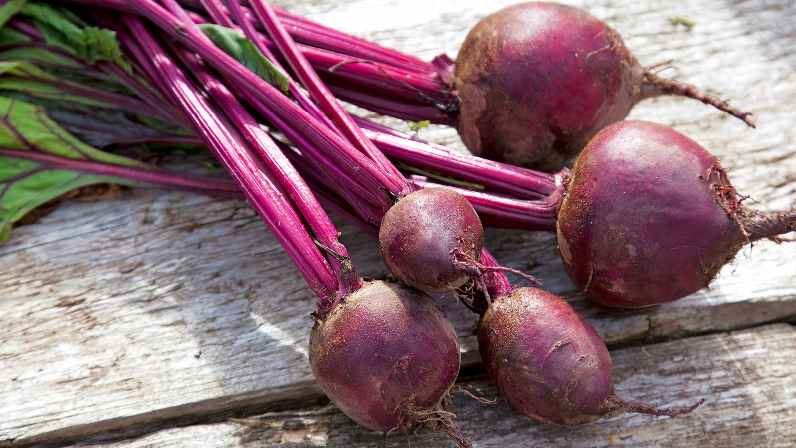 Rote-Rüben ABC - Cooking