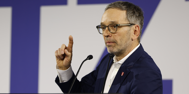 Top-Job für Kickls Ehefrau bei FPÖ-Volksanwältin - Politik-Live