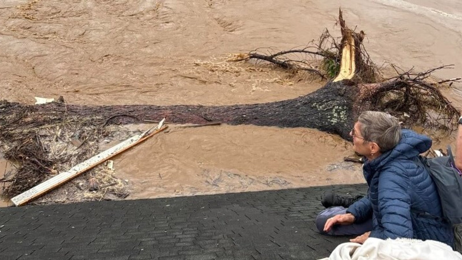 Familientragödie: Nach diesem Foto starben Großeltern und Enkel (7) in ...