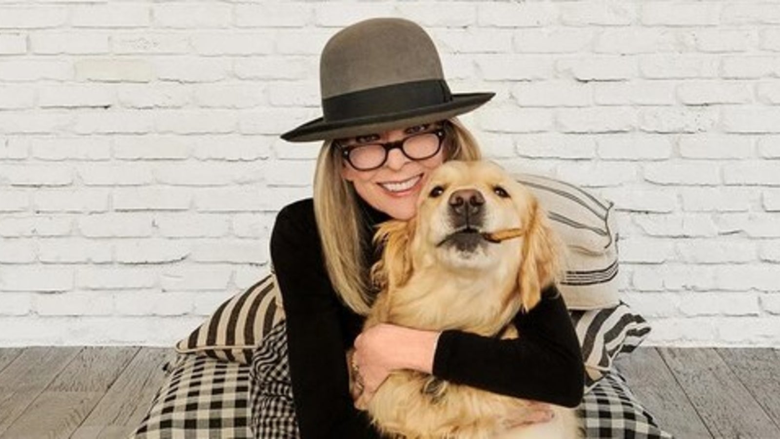 Diane Keatons (†79) Testament: Millionen-Erbe für ihren Hund Reggie ...