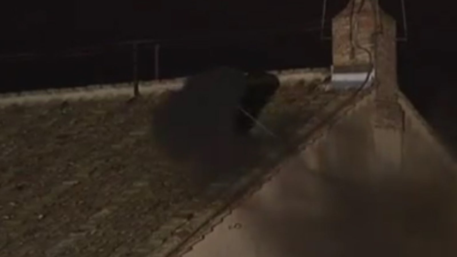 Schwarzer Rauch: Papst-Wahl ergebnislos - oe24.tv