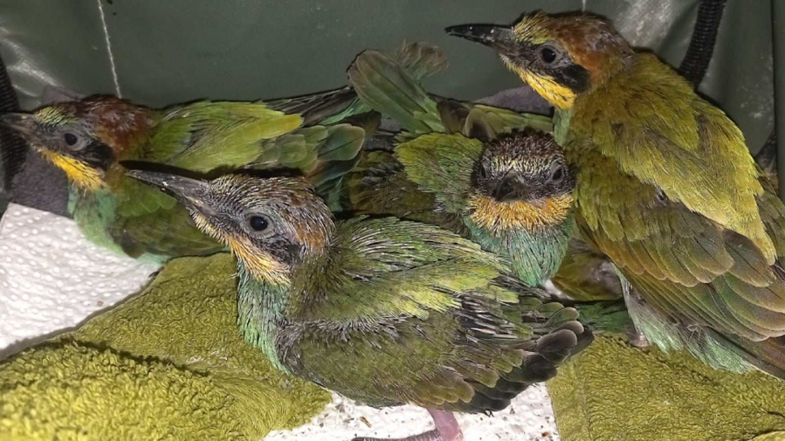 Mary kellas leaked onlyfans she looks like her images