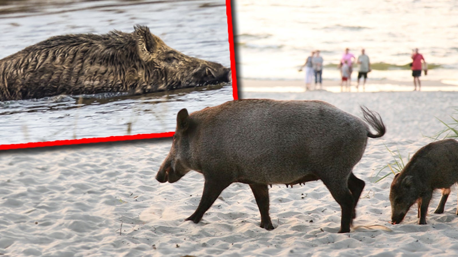 Lacy kim naked onlyfans hailing from east india, with a