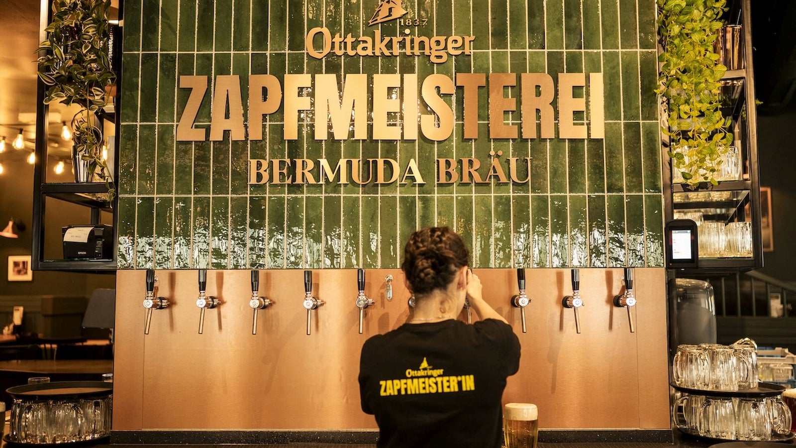Zapfmeisterei im Wiener Bermudadreieck: Bier, Burger & Wiener ...