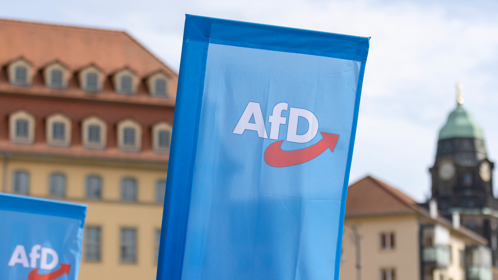 Nach AfD-Einstufung: Das denken die Deutschen über ein AfD-Verbot - oe24.at