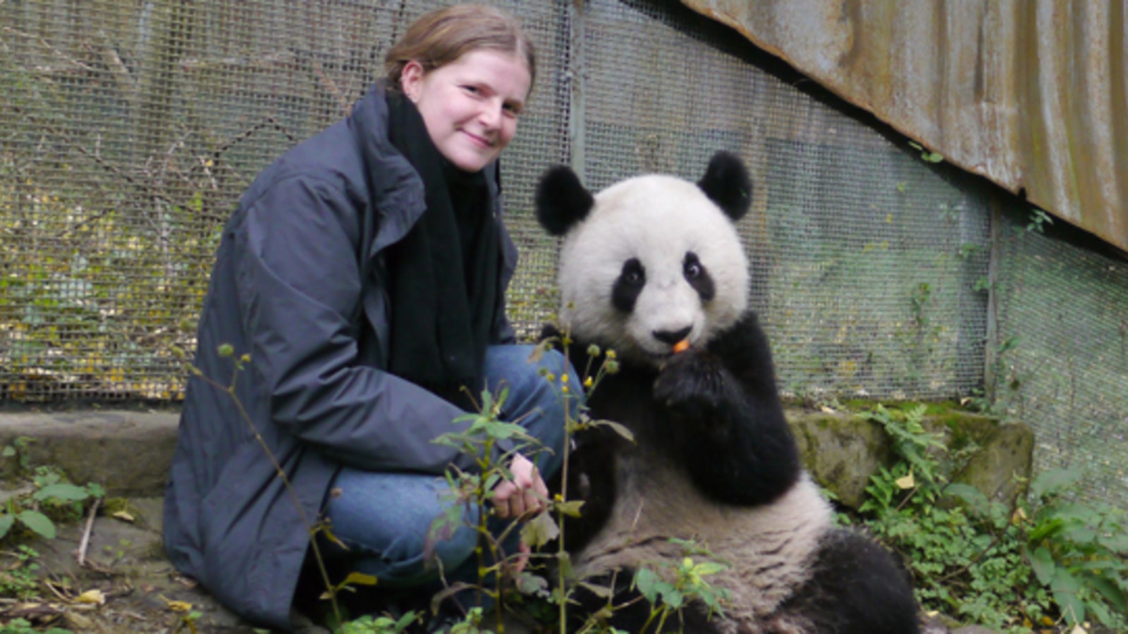 Fu Hu lebt sich in seinem neuem Reich ein - oe24.at