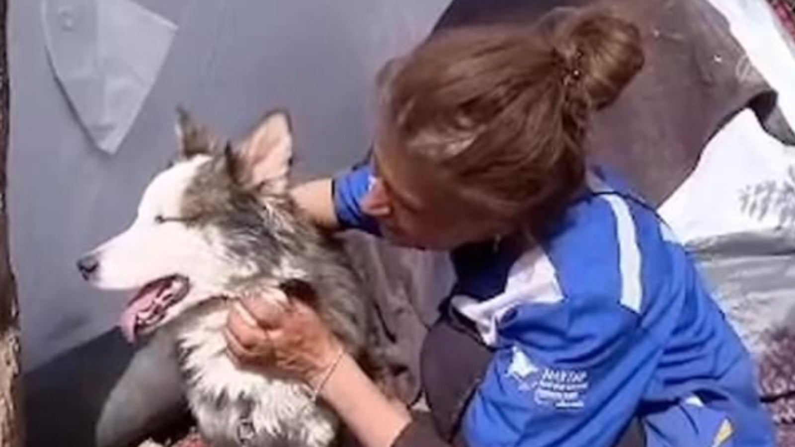 Wow! Hund 23 Tage nach Beben gerettet - oe24.at