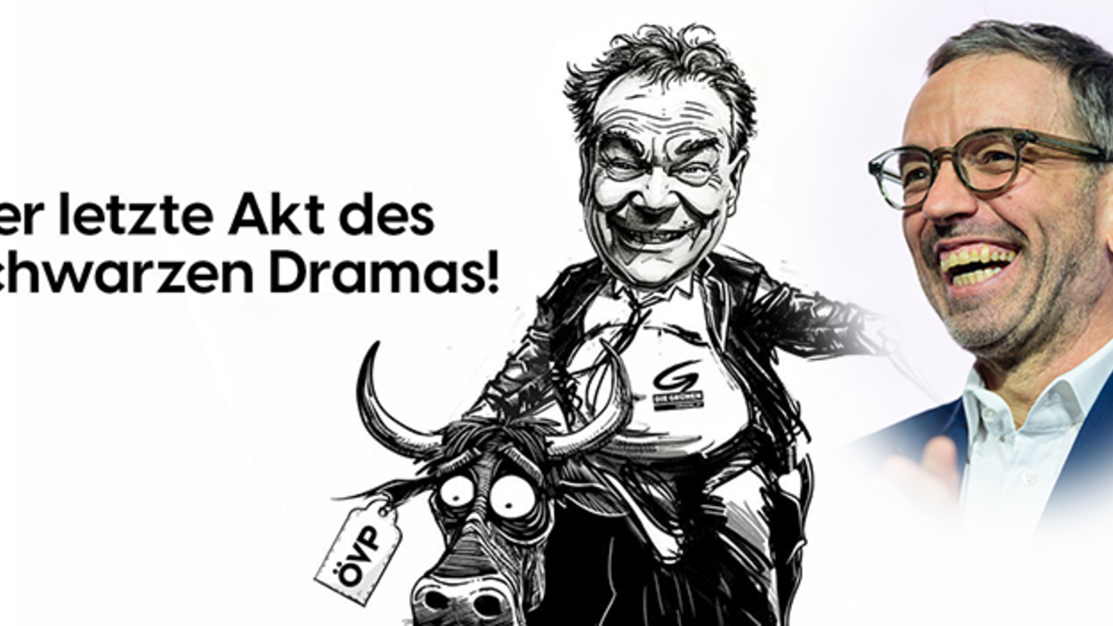 Kickl verhöhnt Regierung auf Facebook mit Karikaturen - Politik-Live