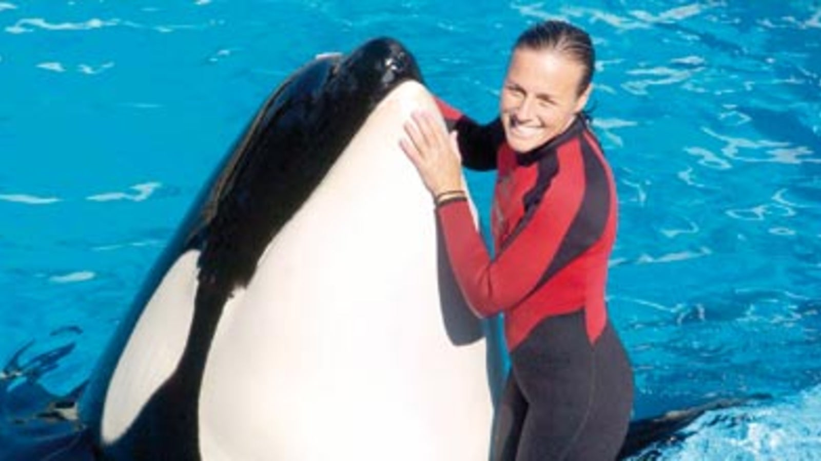 Orca „Tilly" litt an Depressionen - oe24.at