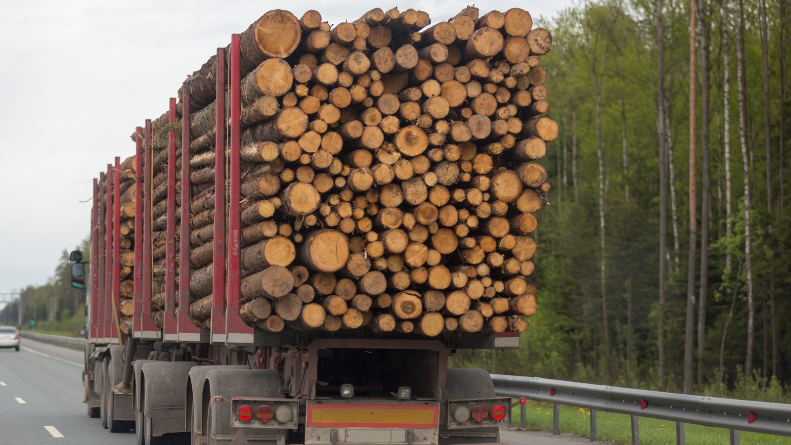 Nach 160 Jahren: Holzbau-Firma ist pleite - Business-Live