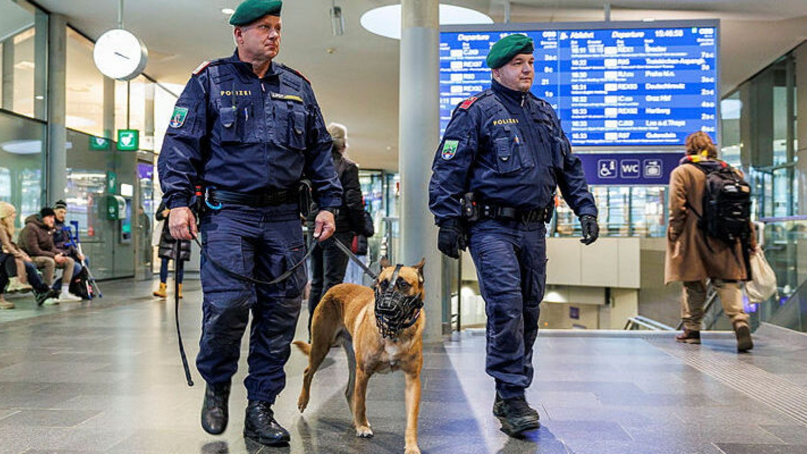 Task Force: Einsatzgruppe nahm bisher elf Jugendliche in NÖ fest - oe24.at