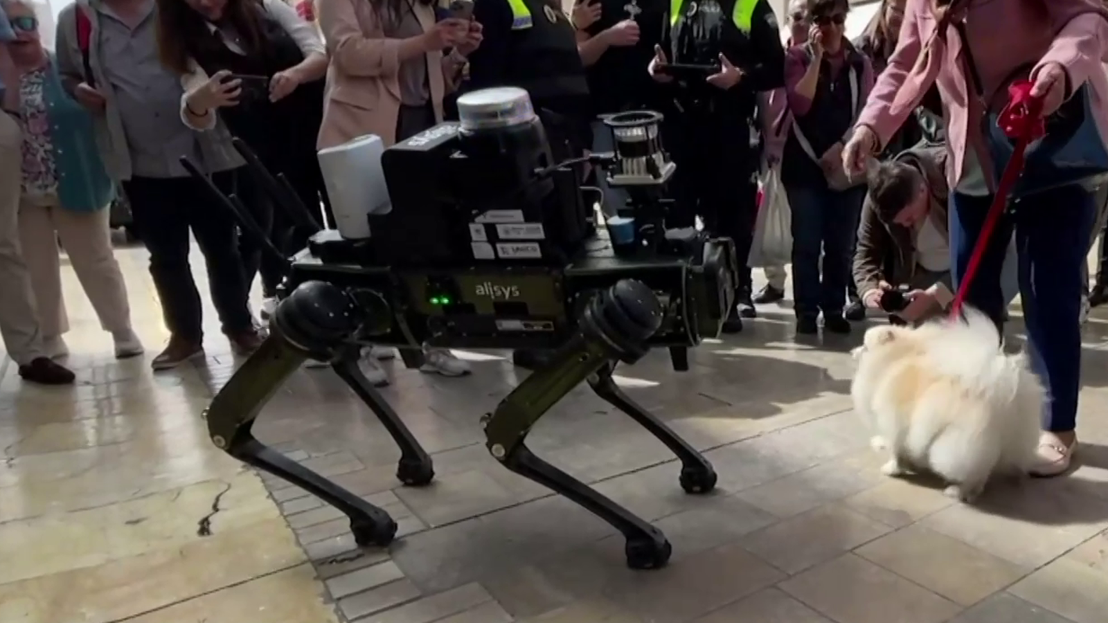 Robodog: Spanische Polizei testet Roboterhund in Malaga - oe24.tv