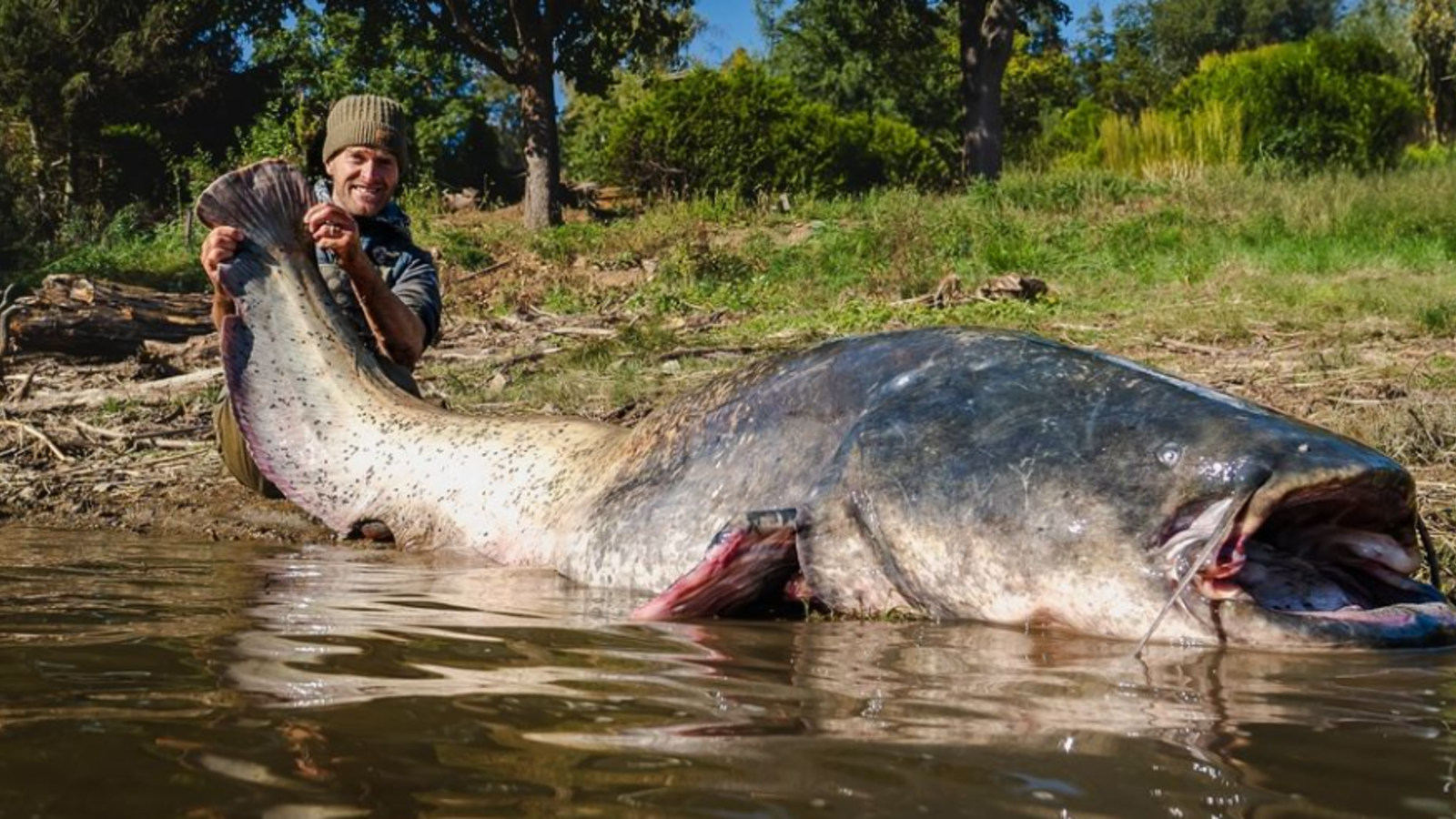 Star-Angler fängt Rekord-Wels - oe24.at