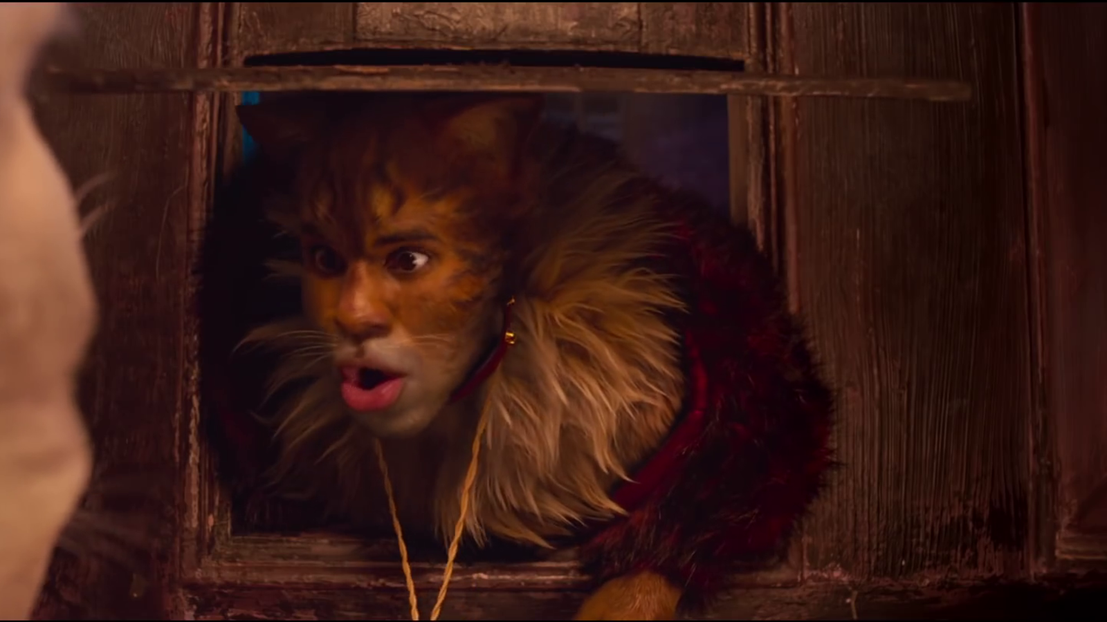 CATS bekommt ein Remake - oe24.tv